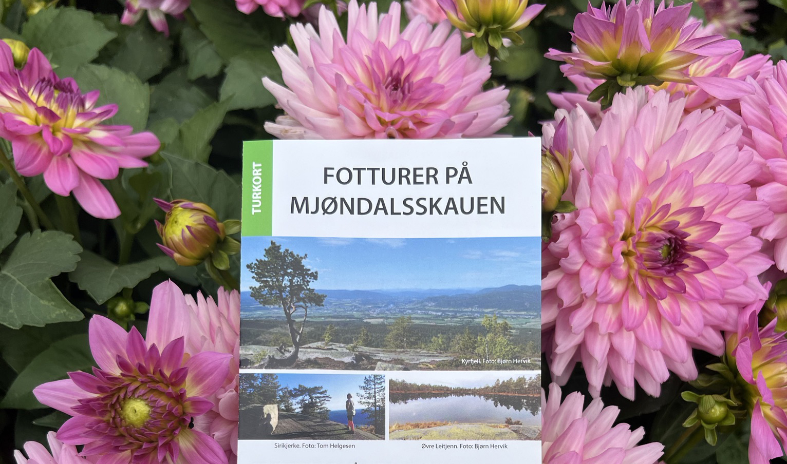 Kobler Drammen og Øvre Eiker sammen med stier - Sparebanken Øst